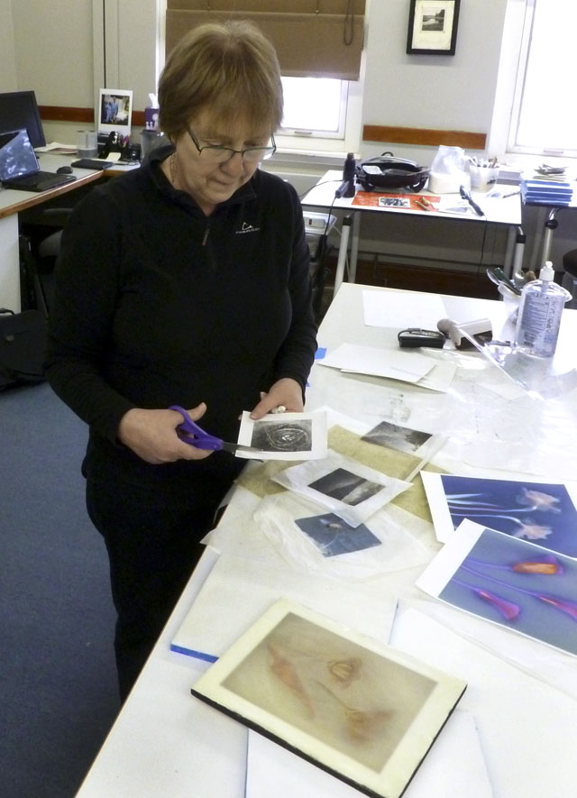 Vicki Reed – Cedarburg, Wisconsin | 365 Artists | 365 Days