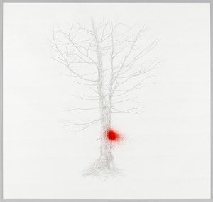 Andrea Sherrill Evans – Boston, Massachusetts | 365 Artists | 365 Days